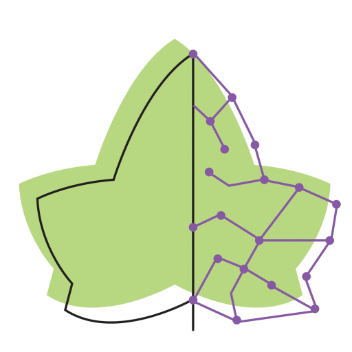 Come funziona - Edera